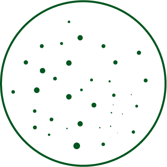 Lipo3000 Transfection Reagent