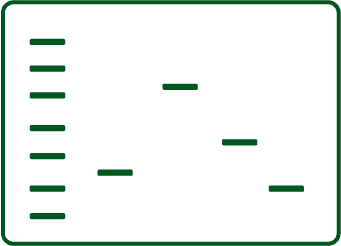 Lipo3000 Transfection Reagent