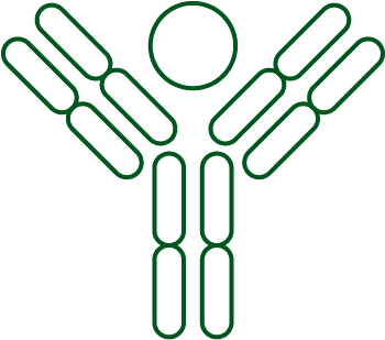 Prescission Protease（PP酶）