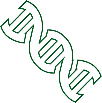 Lipo2000 Transfection Reagent
